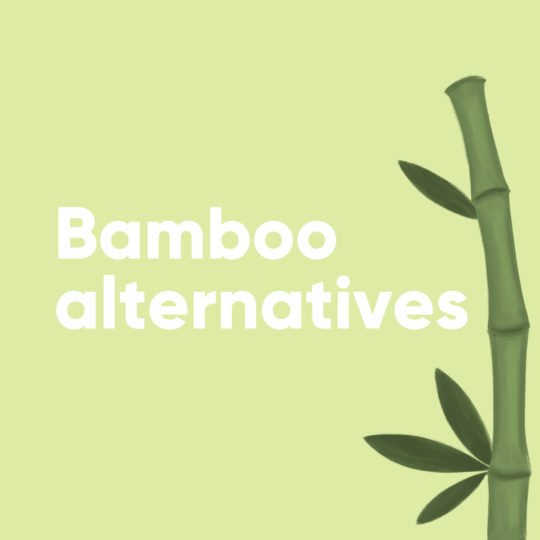 Bamboo Alternatives – Let's Sanitise